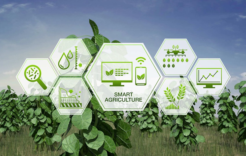 Agricoltura Ambiente Alimenti - Notiziario di informazione su agronomia ...